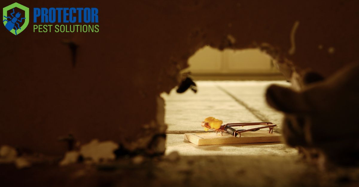 Why Over-the-Counter Pest Solutions Often Fail